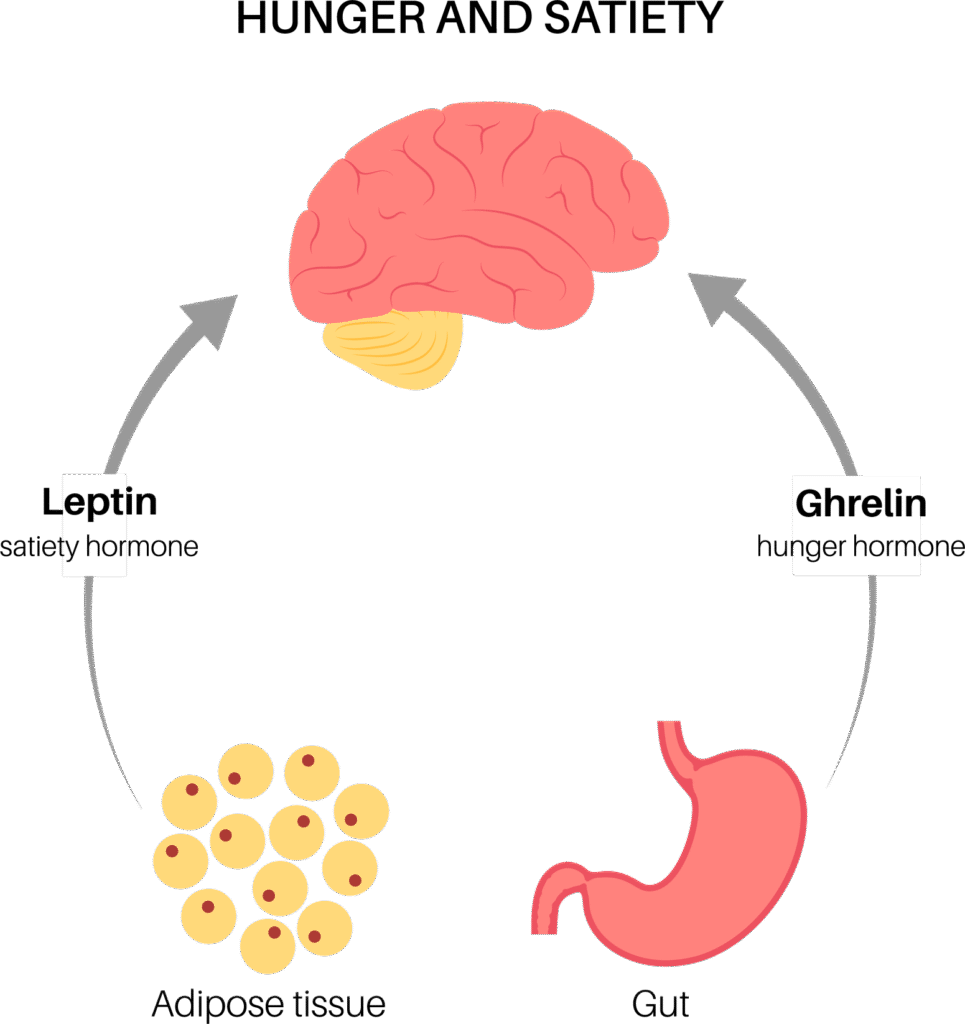 How Bariatric Surgery Changes Hunger Hormones - Dr Pok
